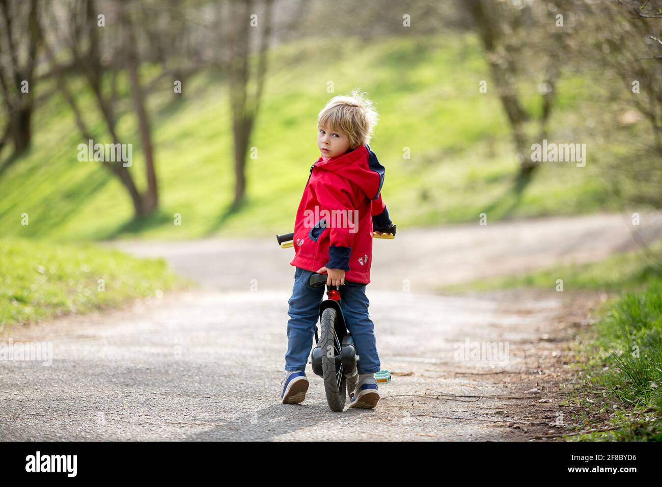 Little boy, learning how to ride a bike in the park, springtime Stock ...