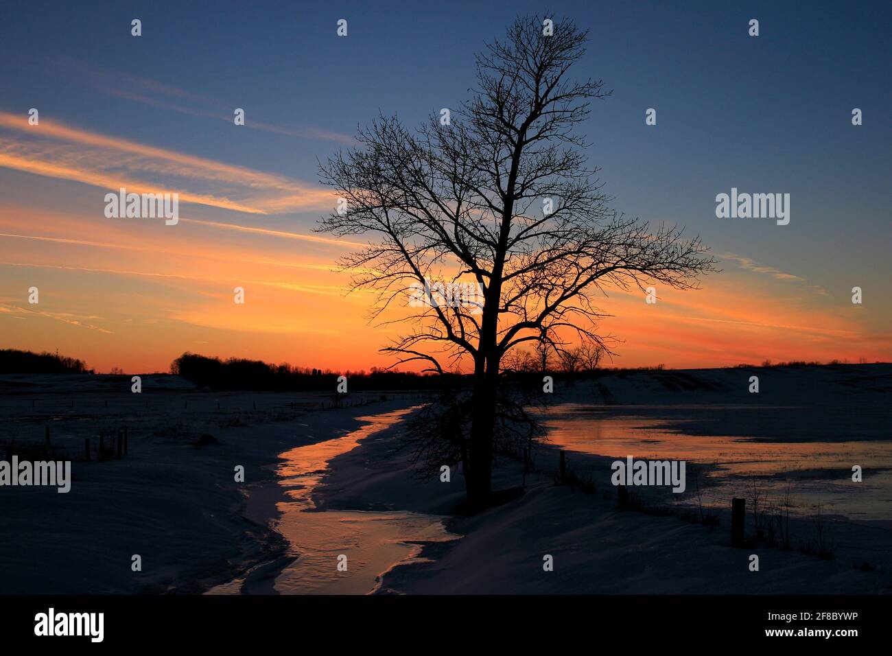 Snow in wisconsin hi-res stock photography and images - Alamy