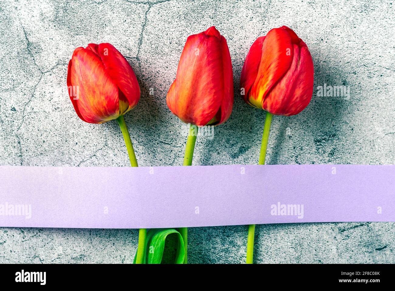 Strip bouquet hi-res stock photography and images - Alamy