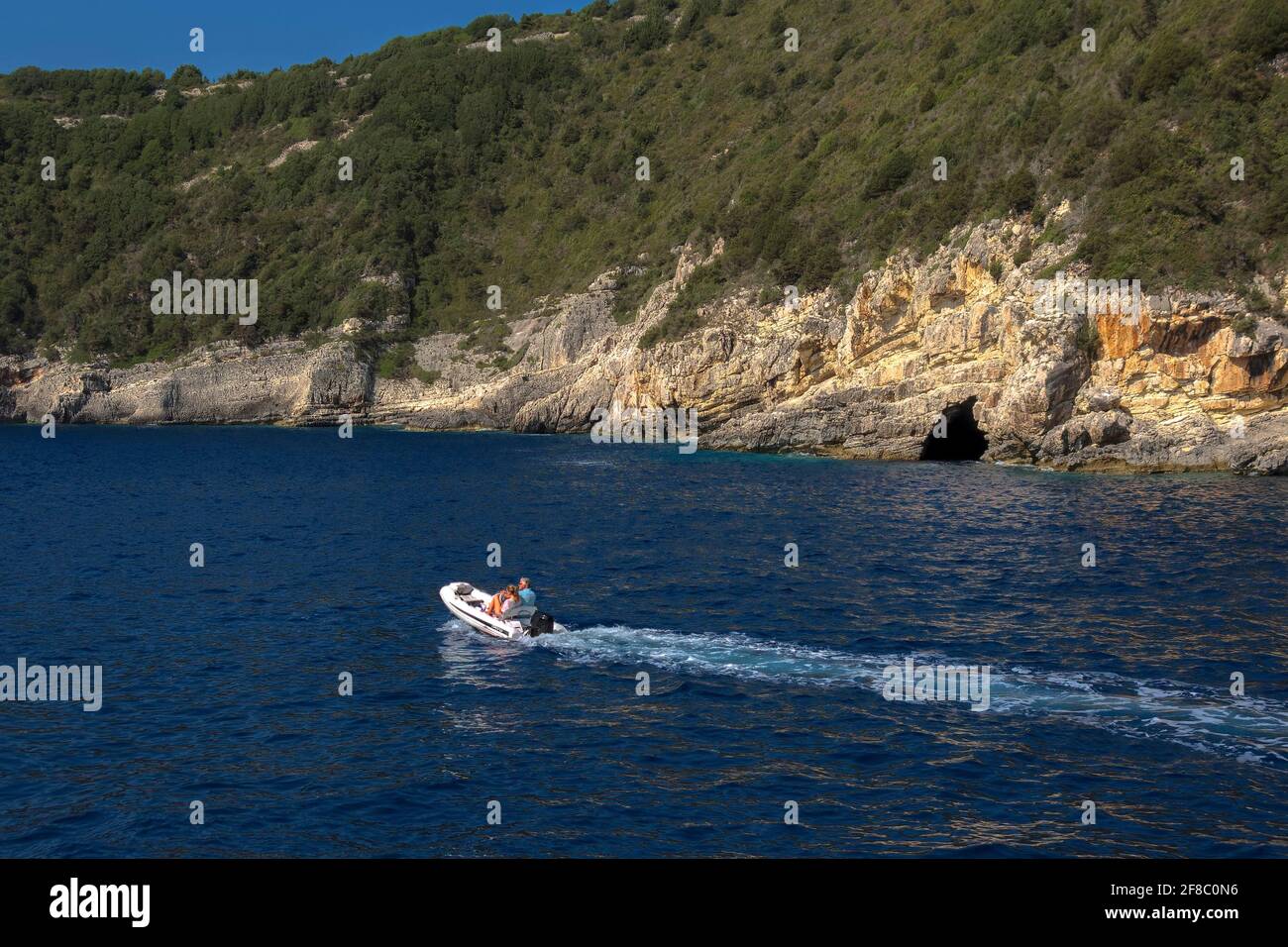 Corfu marine life hi-res stock photography and images - Alamy