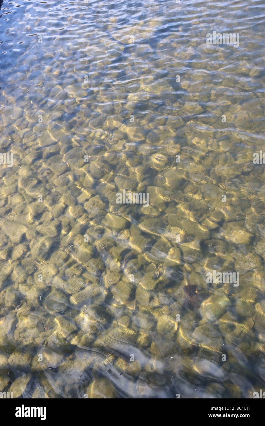 View of underwater stones visible through the transparent lake water ...