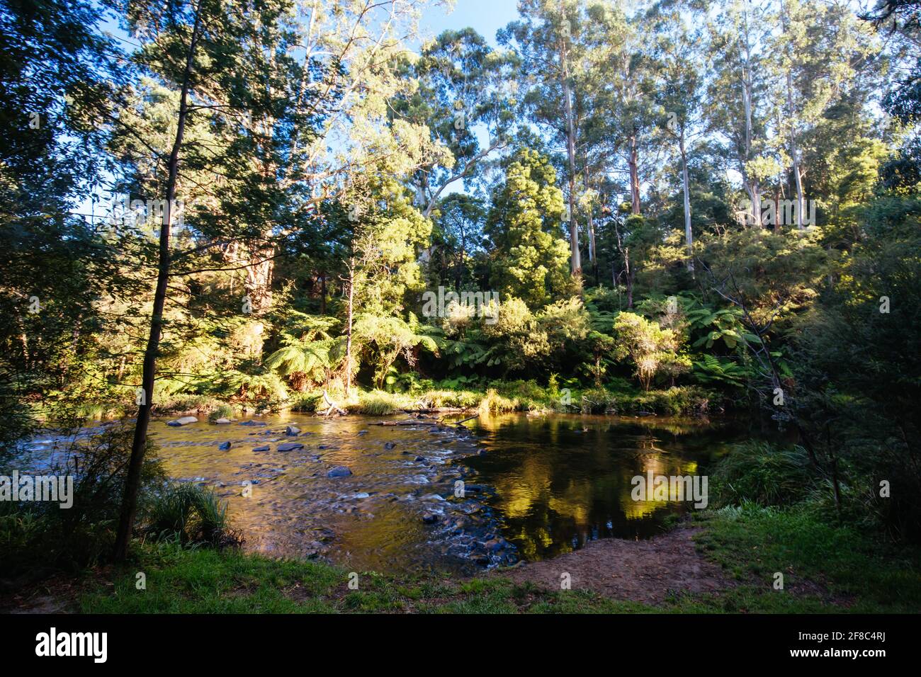 Yarra River View in Warburton Australia Stock Photo - Alamy