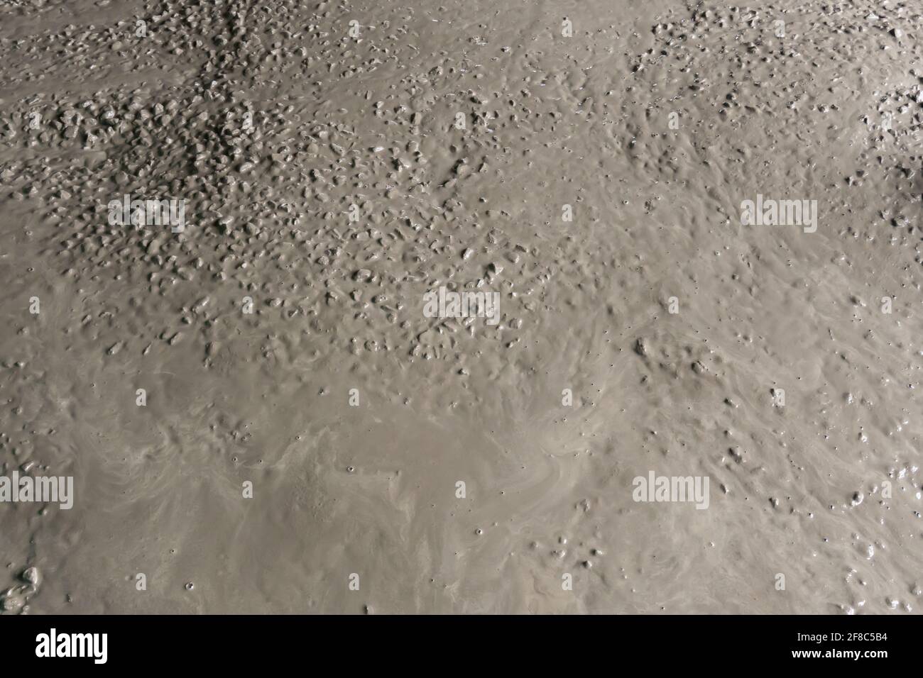 Wet Cement. ready mixed concrete for floor pouring Stock Photo - Alamy