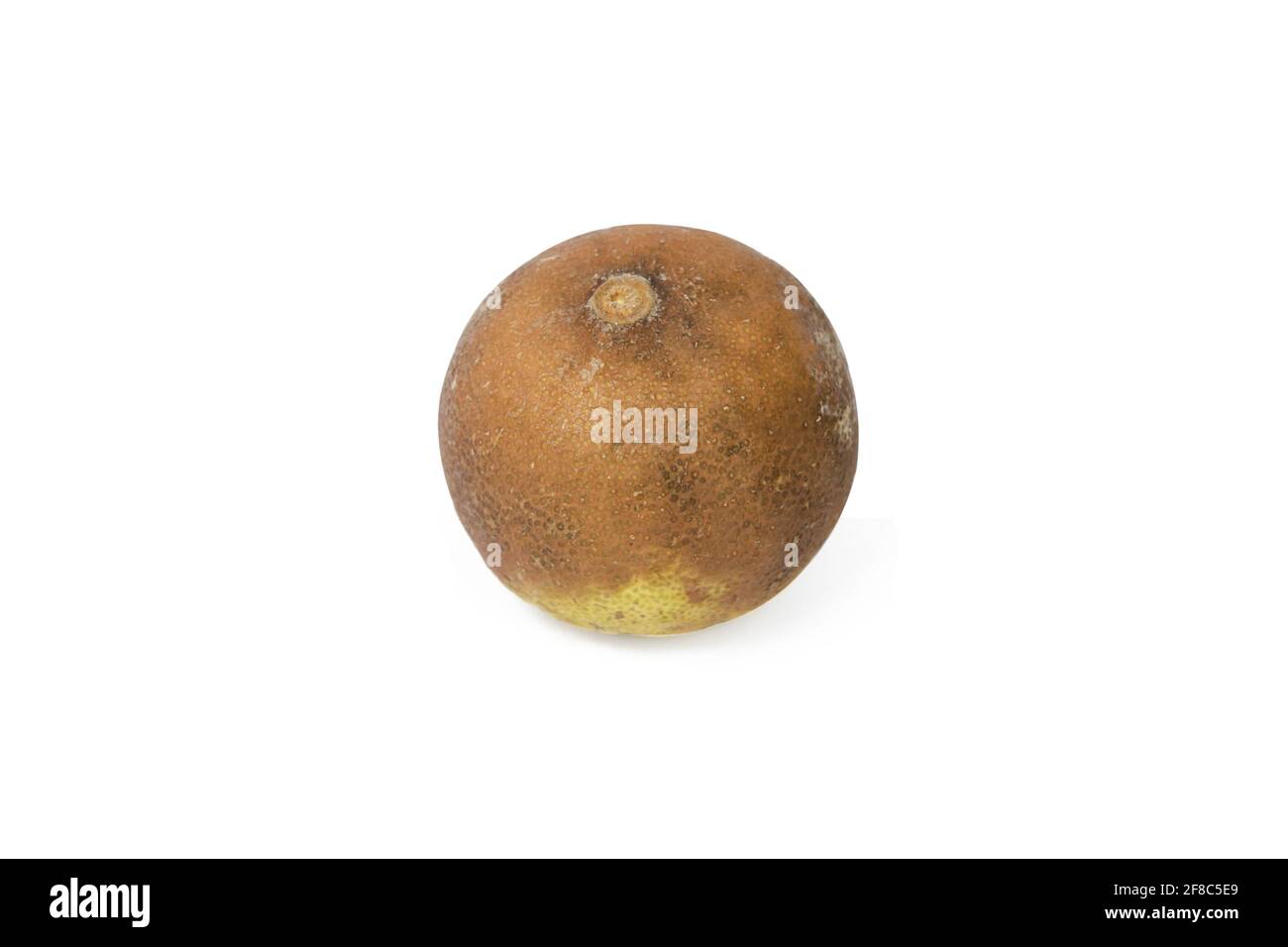 Rotten lime isolated on white background with clipping path Stock Photo ...