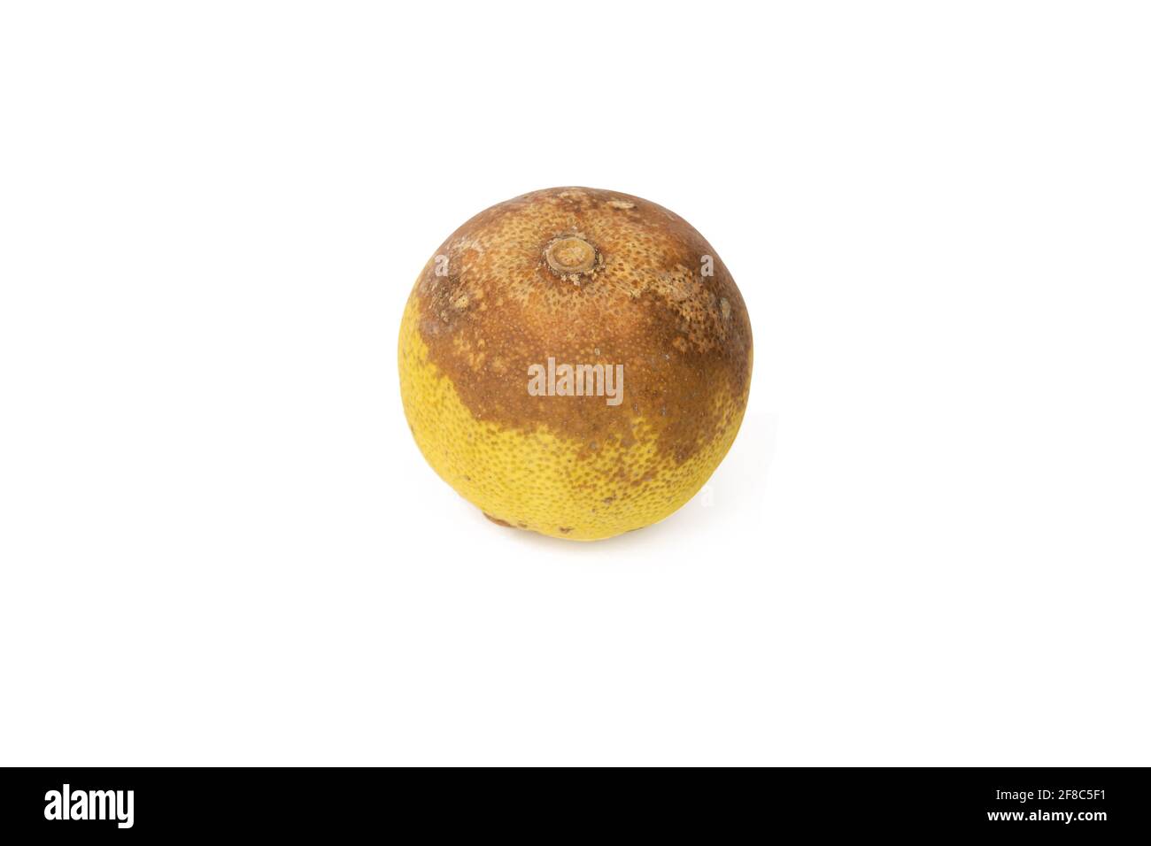 Rotten lime isolated on white background with clipping path Stock Photo ...