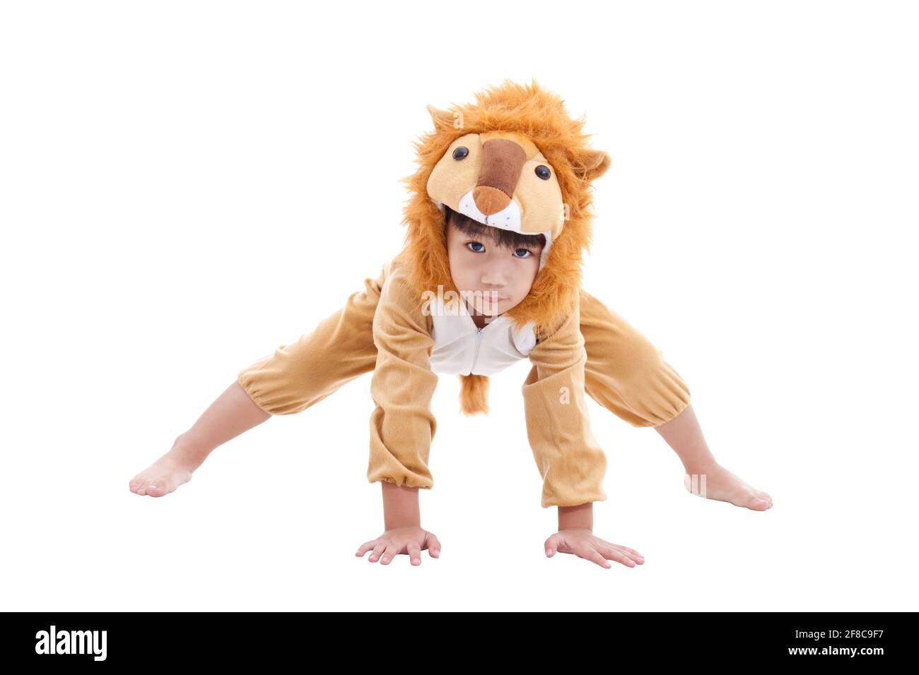 Little lovely asian boy costumed and acting like a lion, isolated on ...
