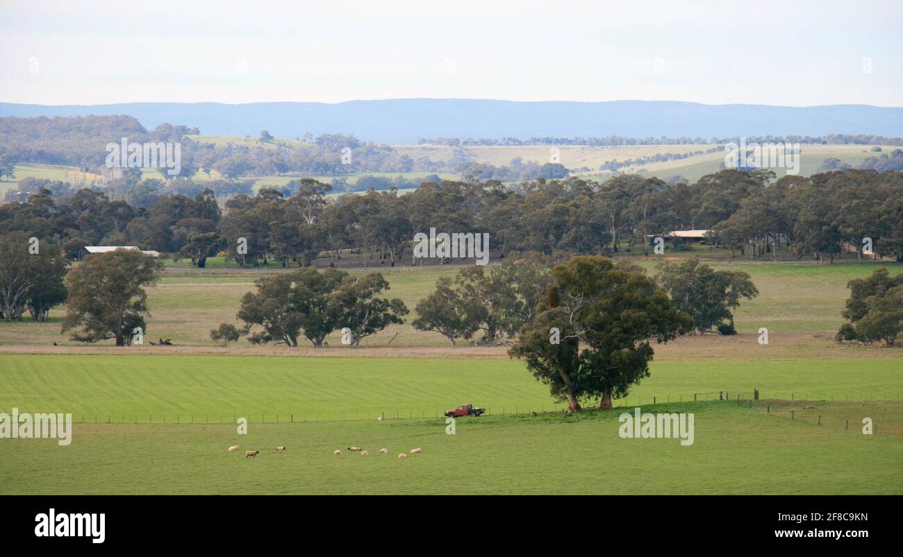 Patchwork landscape of Castlemaine, Central Victoria Stock Photo - Alamy