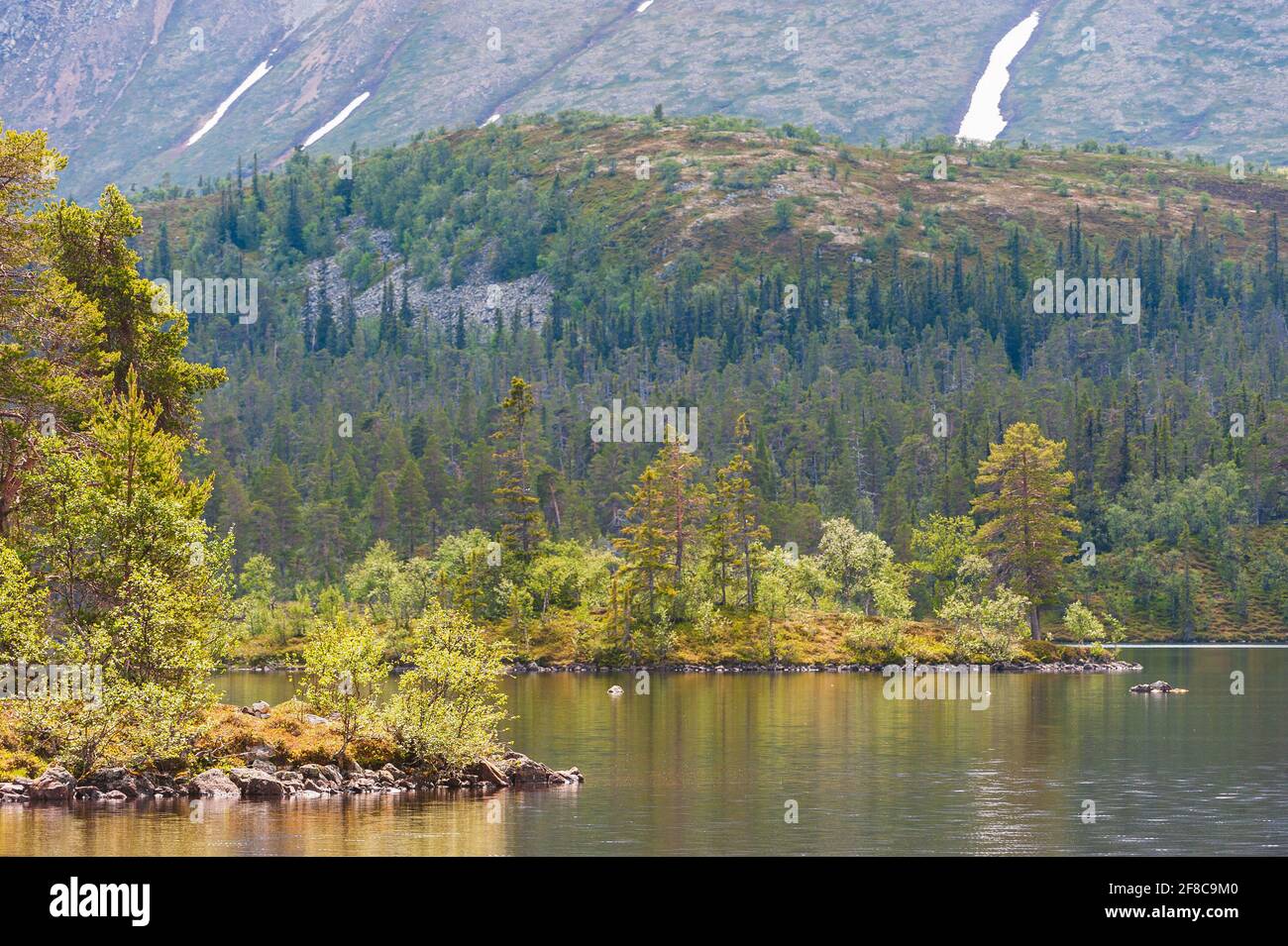 Trees by lakeside in front of mountains Stock Photo - Alamy