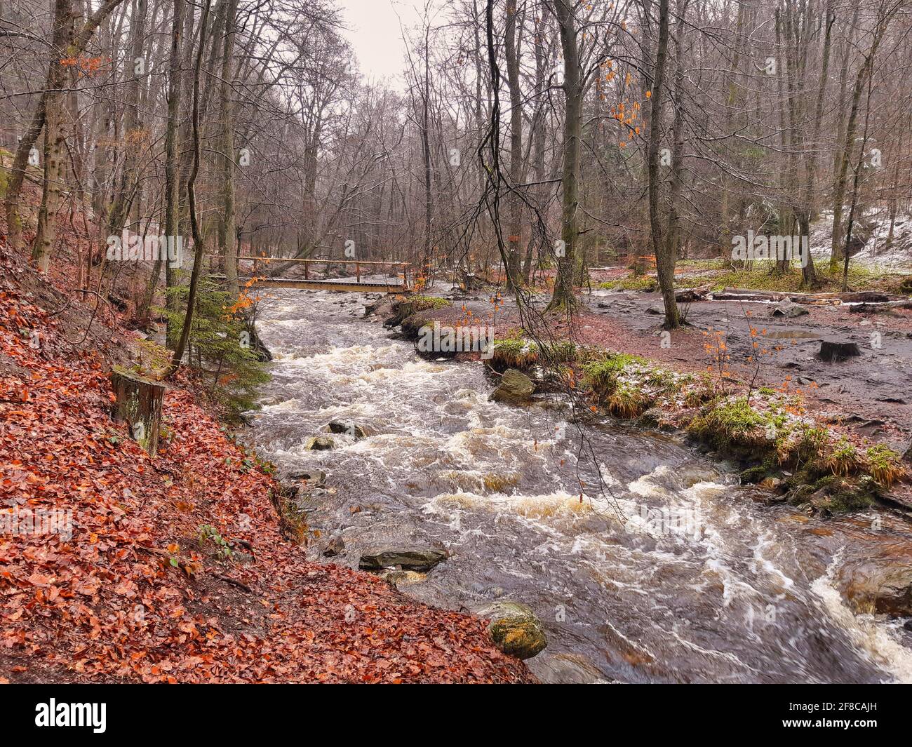 Hoegne valley and river hiking trail in Jalhay, Belgium Stock Photo - Alamy