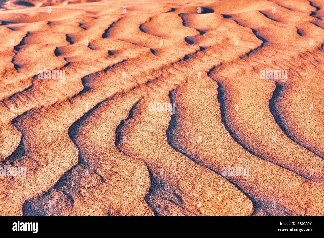 Harmonious lines of sand in the desert at sunrise; bizarre wind ...