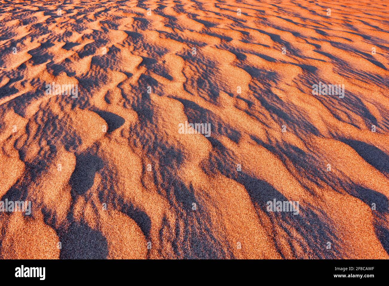 Sun rising at the sahara desert hi-res stock photography and images - Alamy