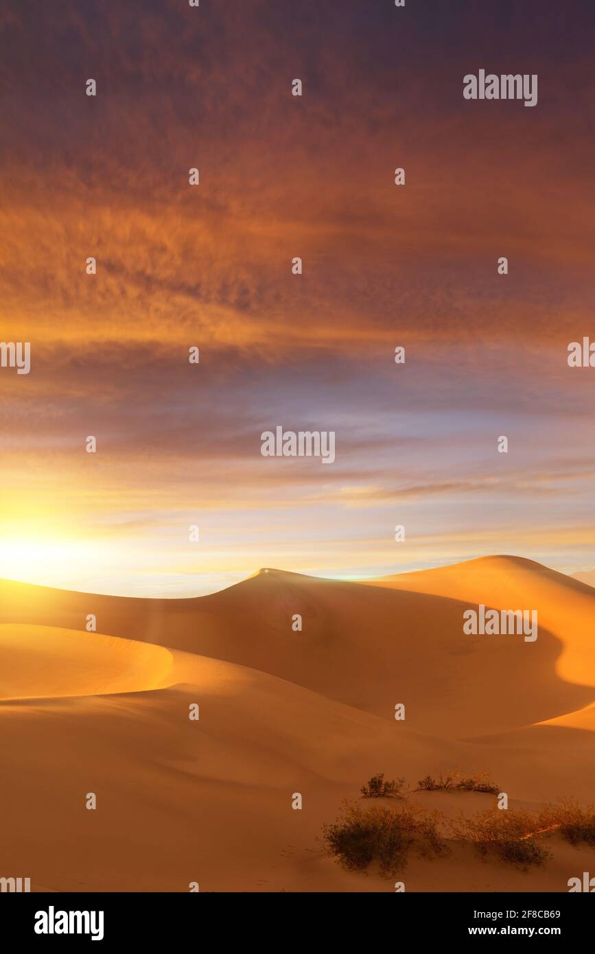 Libya ecology hi-res stock photography and images - Alamy