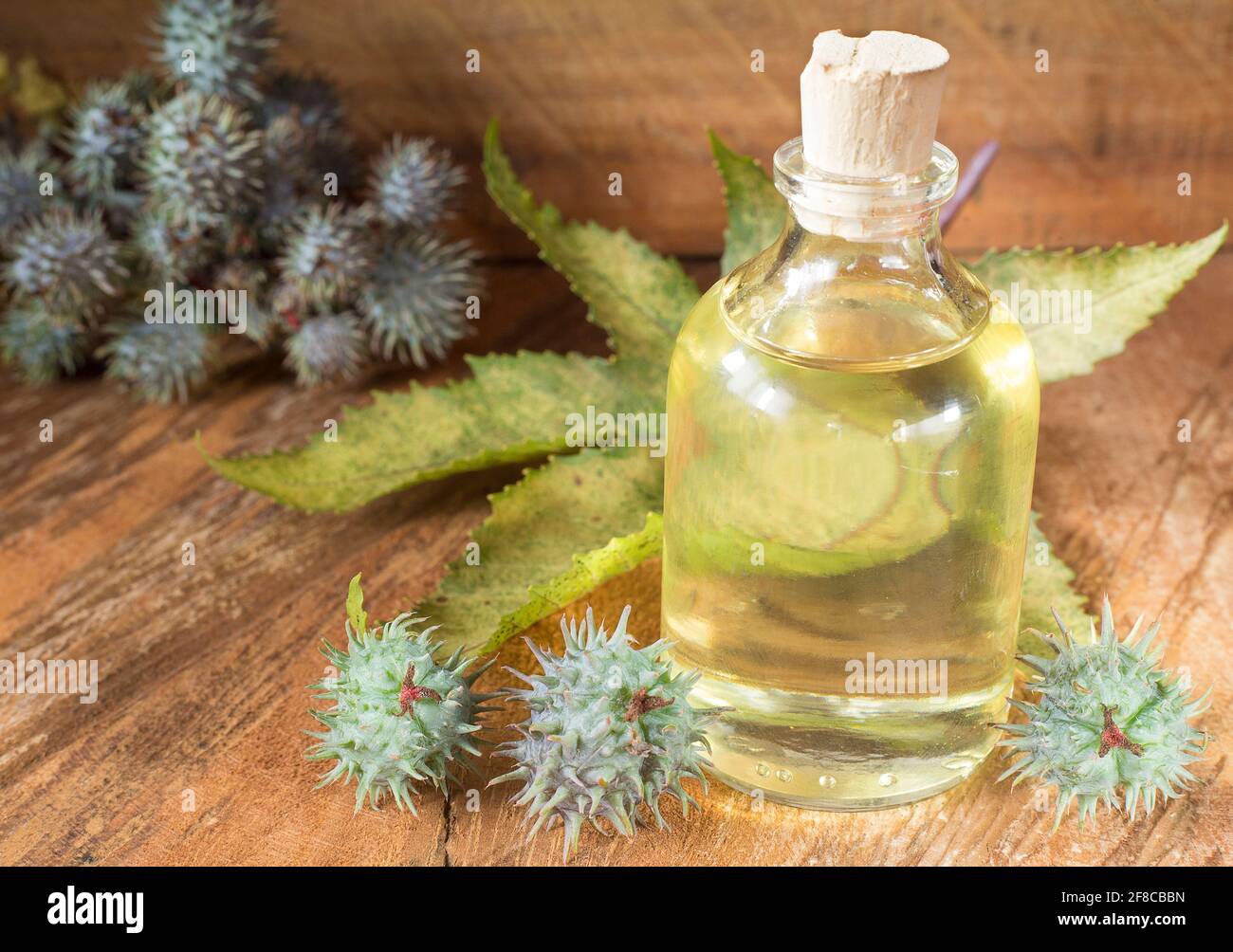 Higuereta High Resolution Stock Photography and Images - Alamy