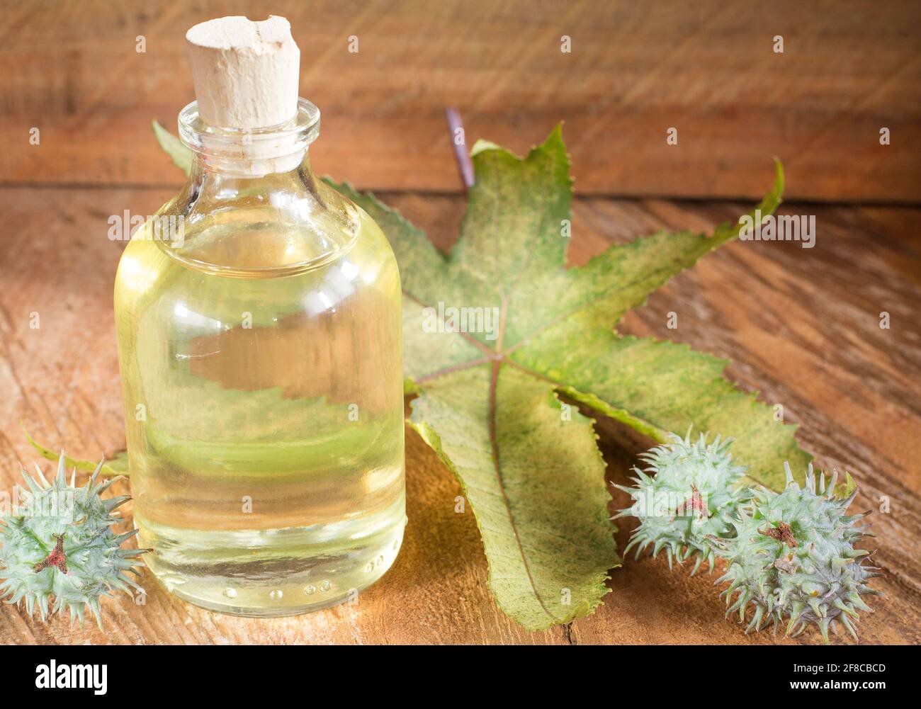 Higuereta hi-res stock photography and images - Alamy