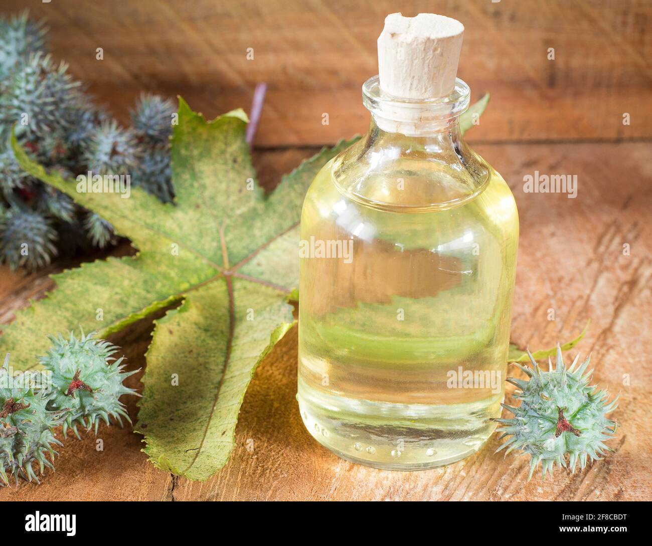 Higuereta hi-res stock photography and images - Alamy