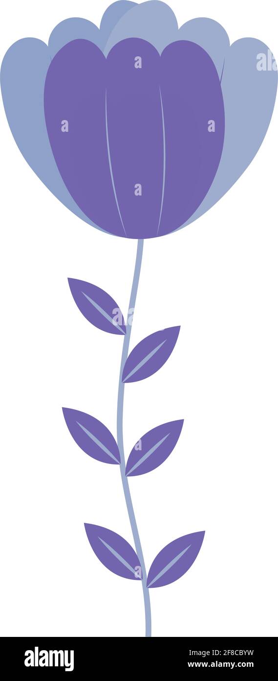 cute purple tulip Stock Vector Image & Art - Alamy