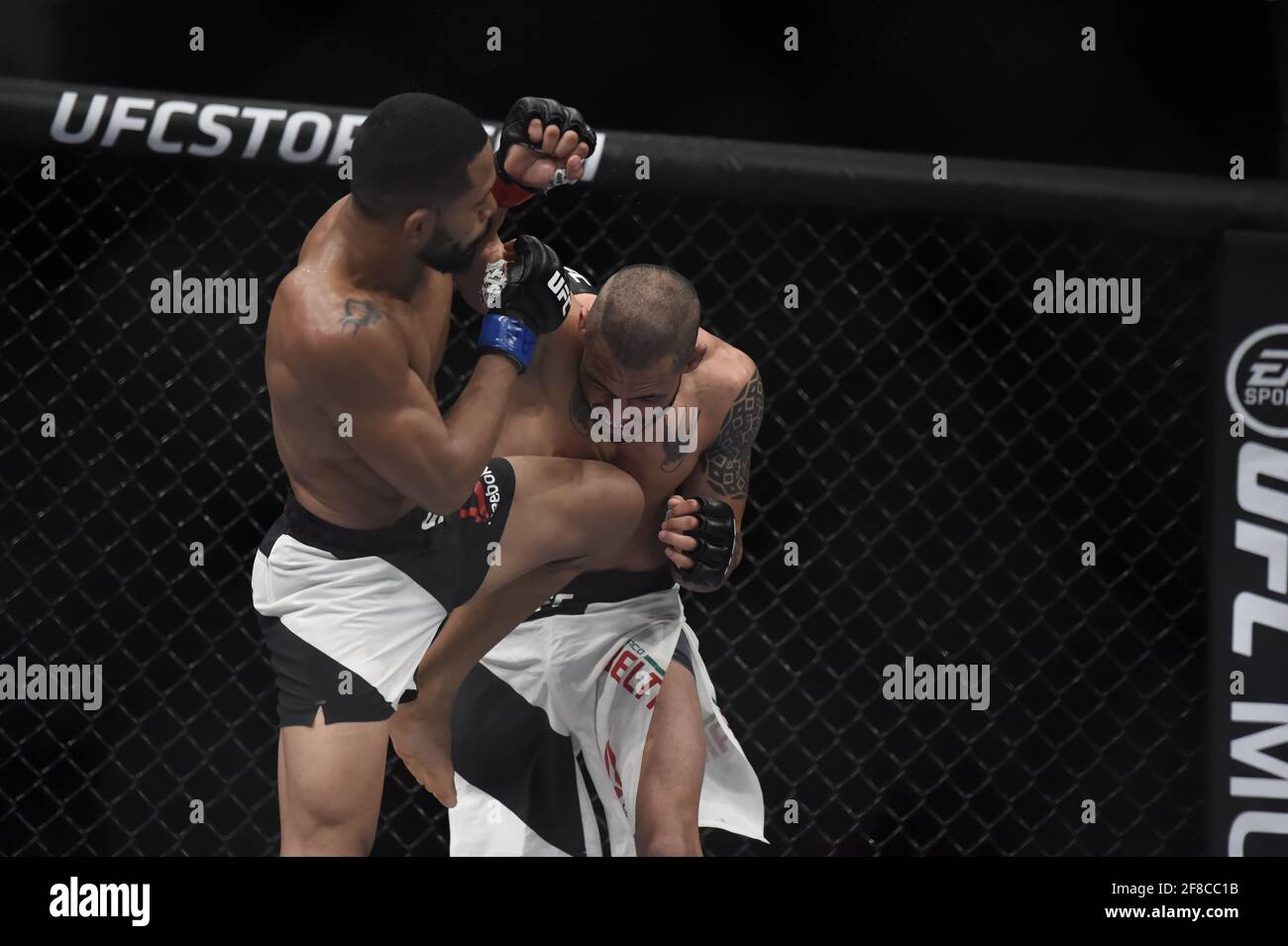 Rio de Janeiro-Brazil January 10, 2020, UFC and his fights in Brazil ...