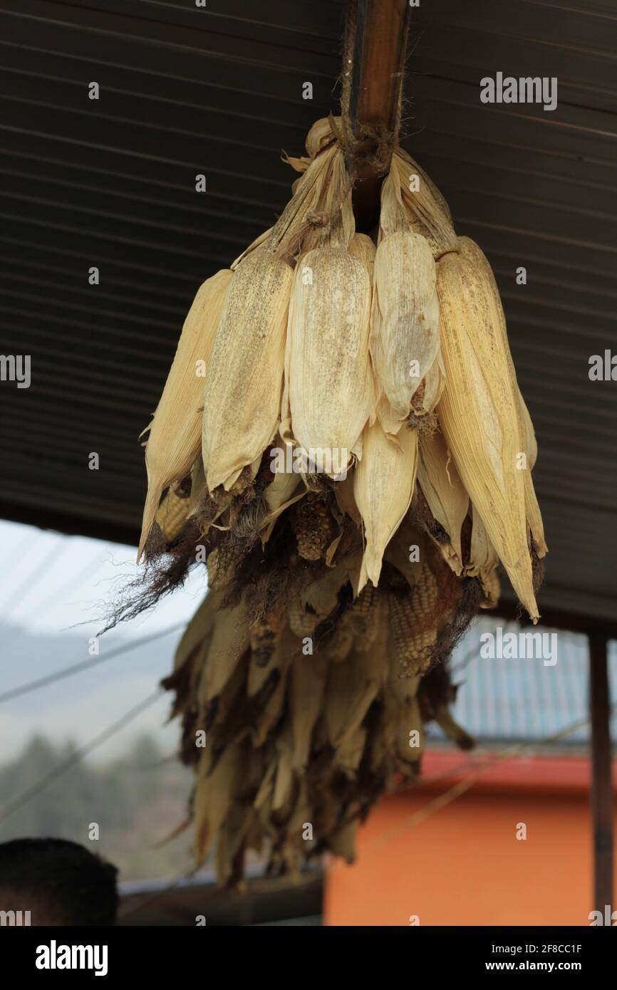 Village life during winter hi-res stock photography and images - Alamy