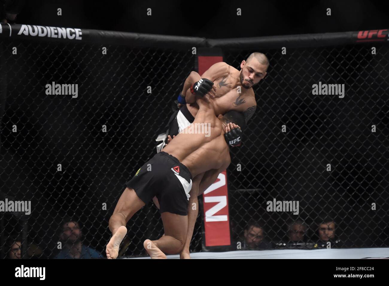 Rio de Janeiro-Brazil January 10, 2020, UFC and his fights in Brazil ...