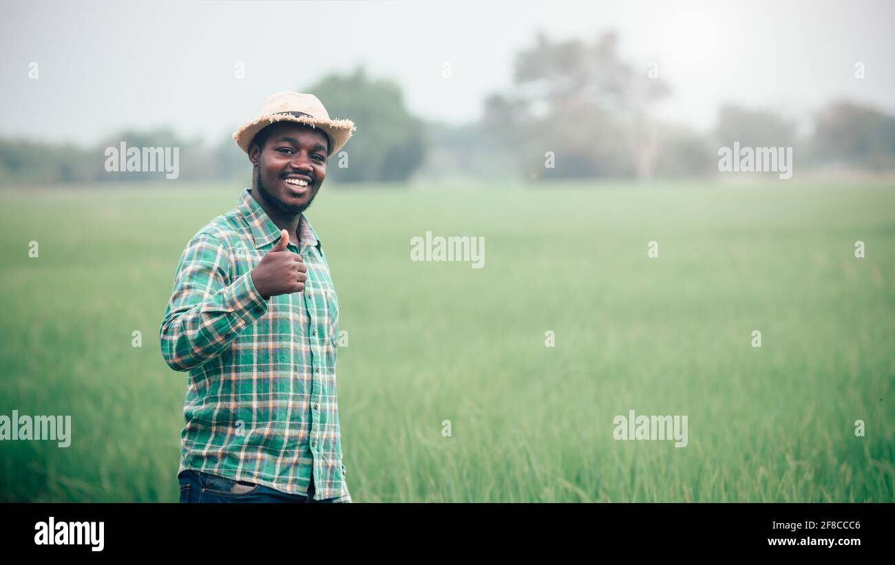 African farmer standing in organic rice field with smile and happy ...