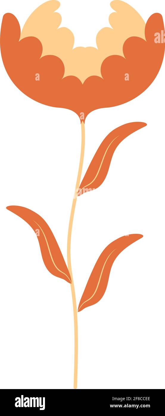orange flower icon Stock Vector Image & Art - Alamy