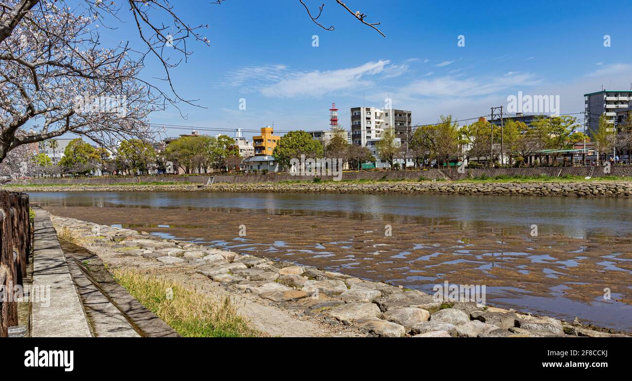 Low tide has dropped the water level in an already shallow river ...