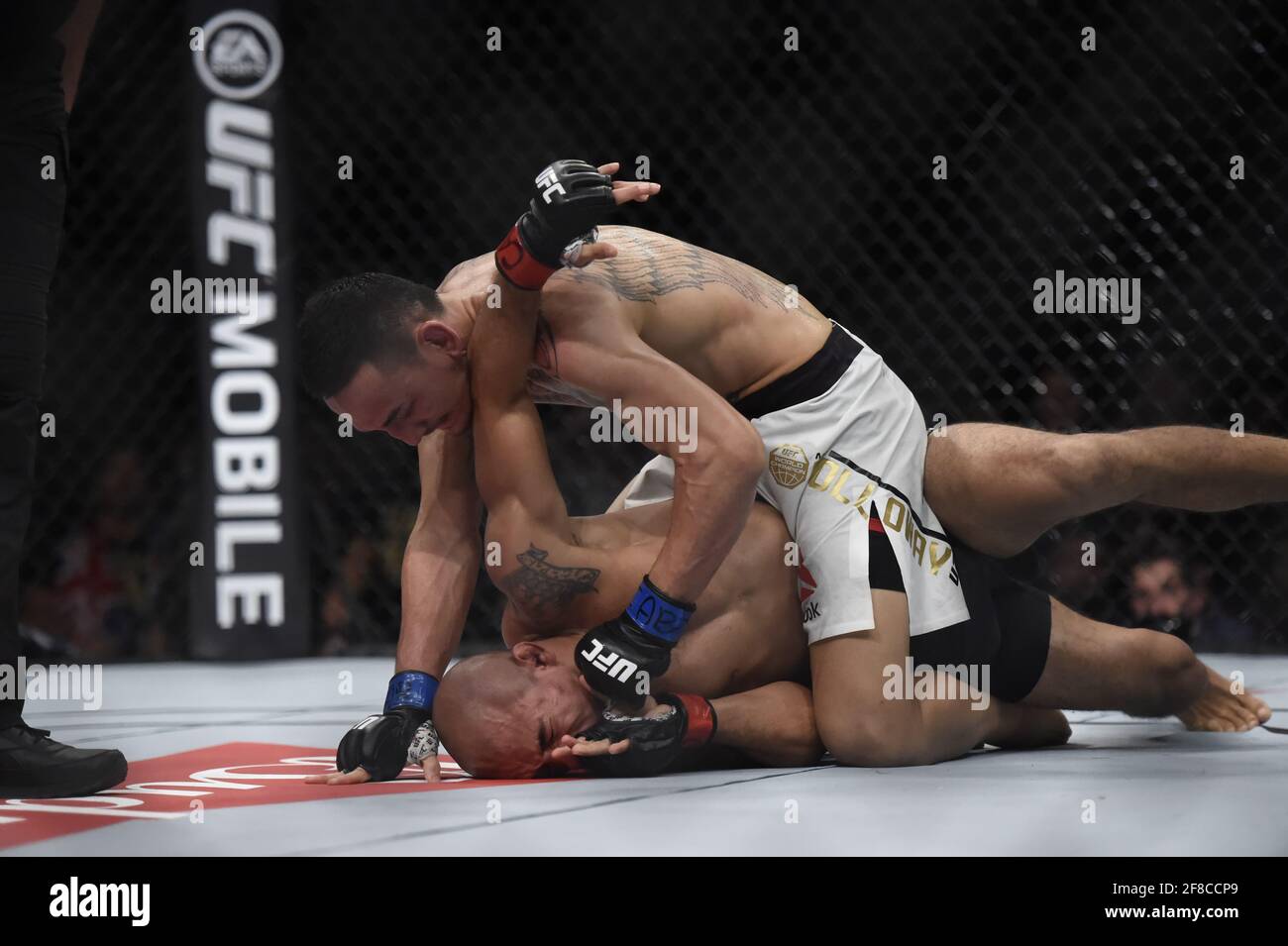 Rio de Janeiro-Brazil January 10, 2020, UFC and his fights in Brazil ...