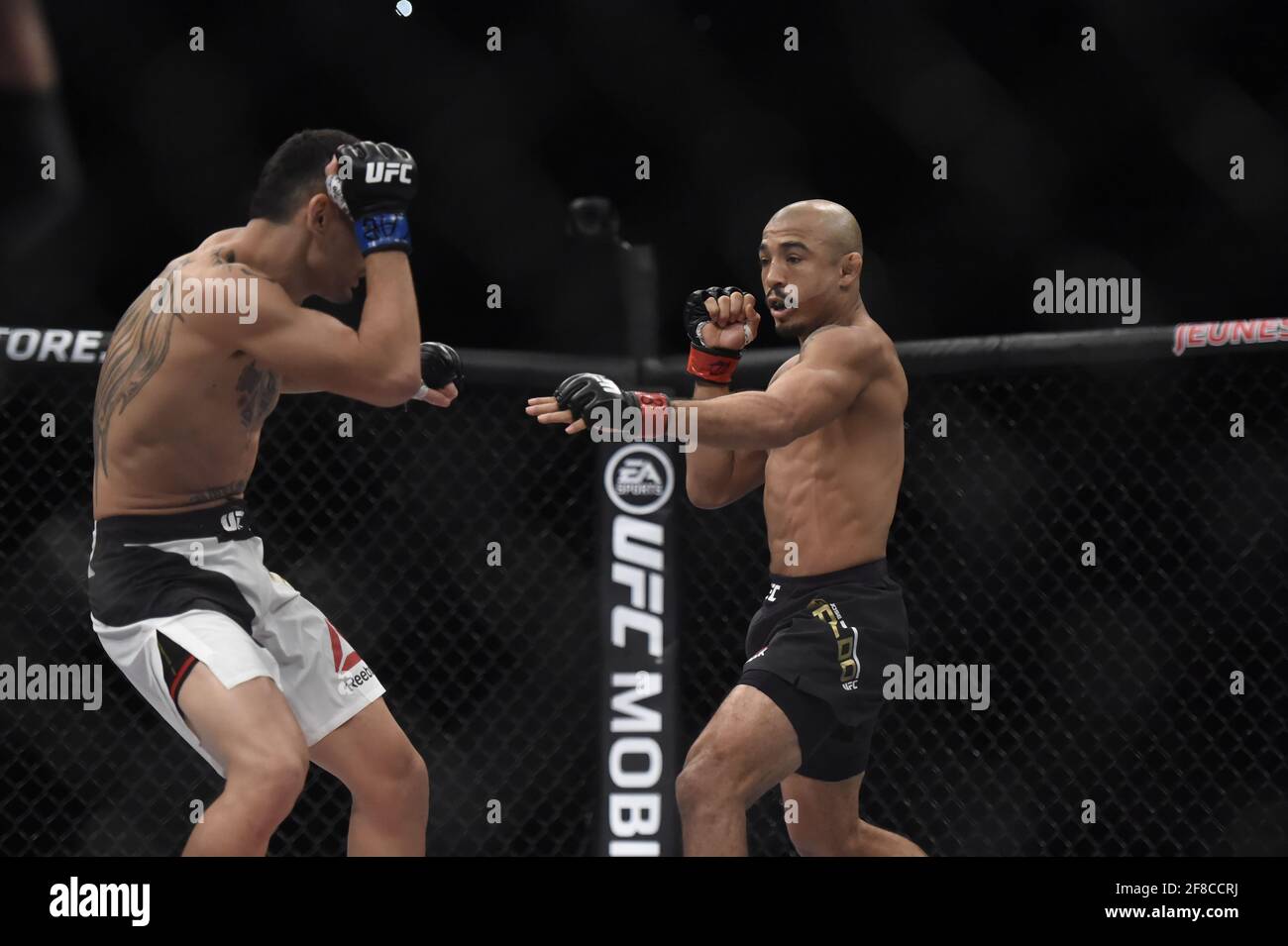 Ufc brazil hi-res stock photography and images - Alamy