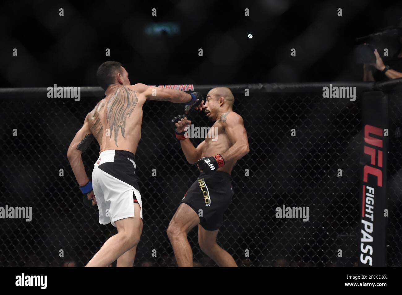 Rio de Janeiro-Brazil January 10, 2020, UFC and his fights in Brazil ...