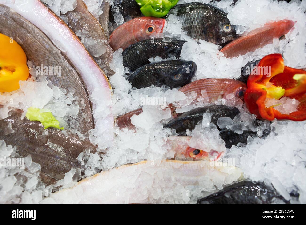 Fishmonger shelf in supermarket with fresh fish Stock Photo - Alamy