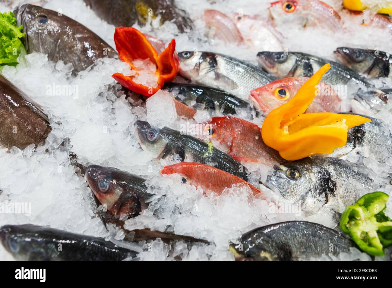 Fishmonger shelf in supermarket with fresh fish Stock Photo - Alamy