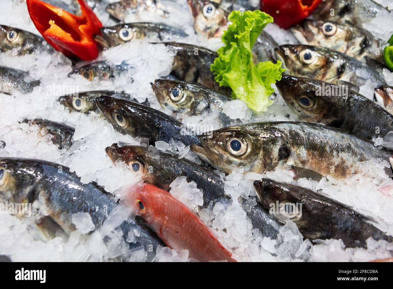 Fishmonger shelf in supermarket with fresh fish Stock Photo - Alamy