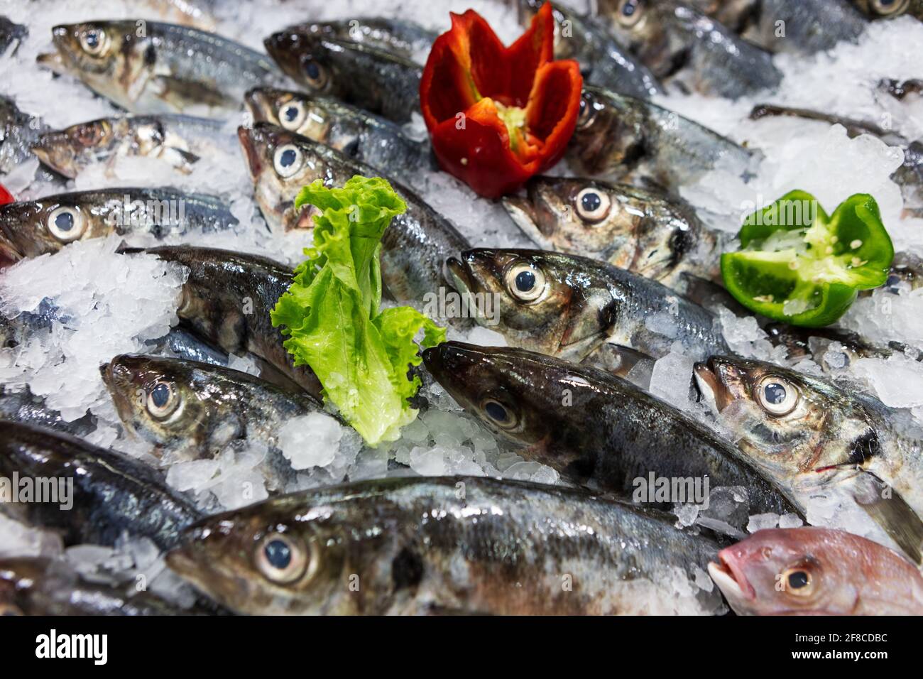 Fishmonger shelf in supermarket with fresh fish Stock Photo - Alamy