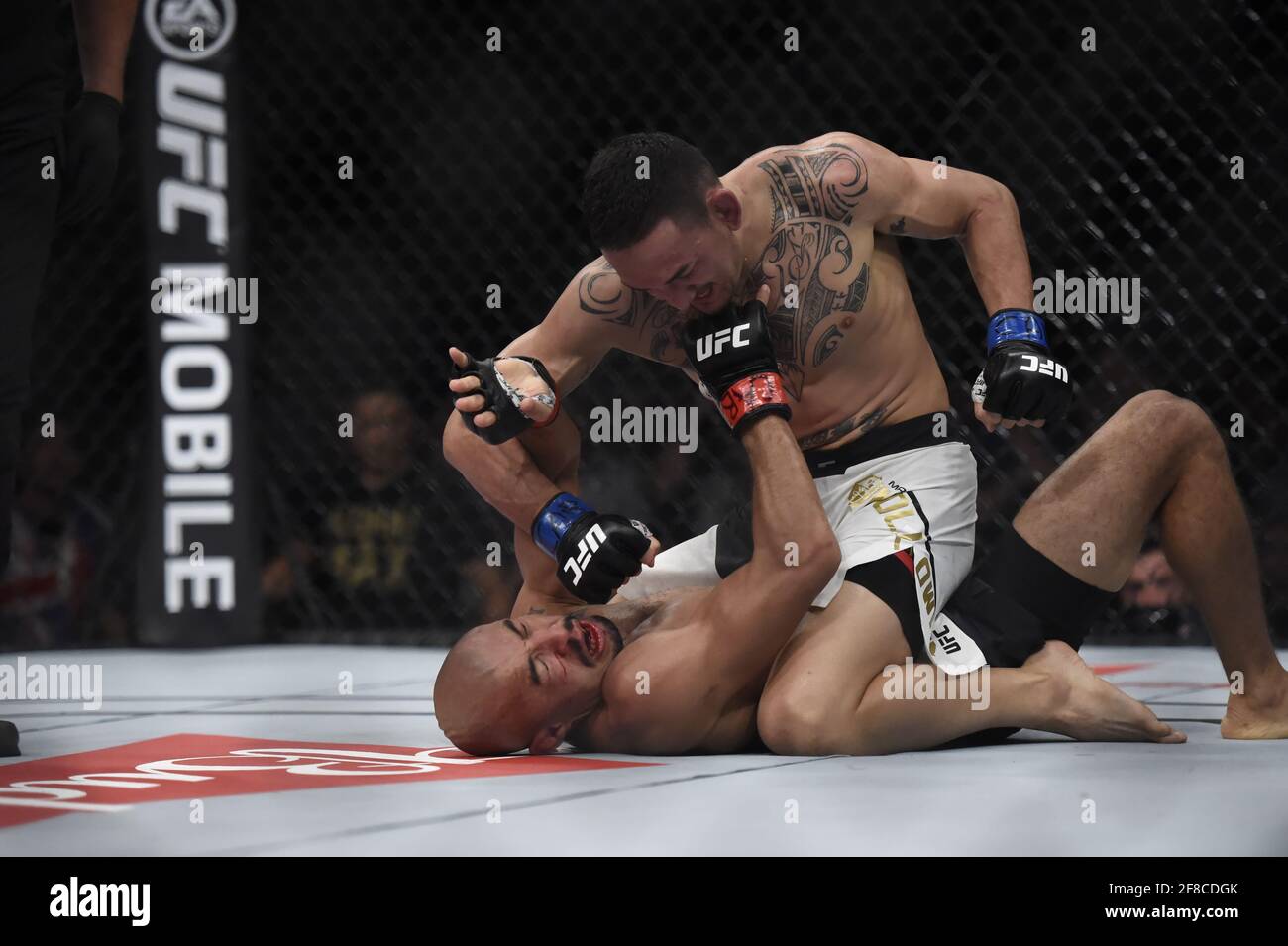 Rio de Janeiro-Brazil January 10, 2020, UFC and his fights in Brazil ...