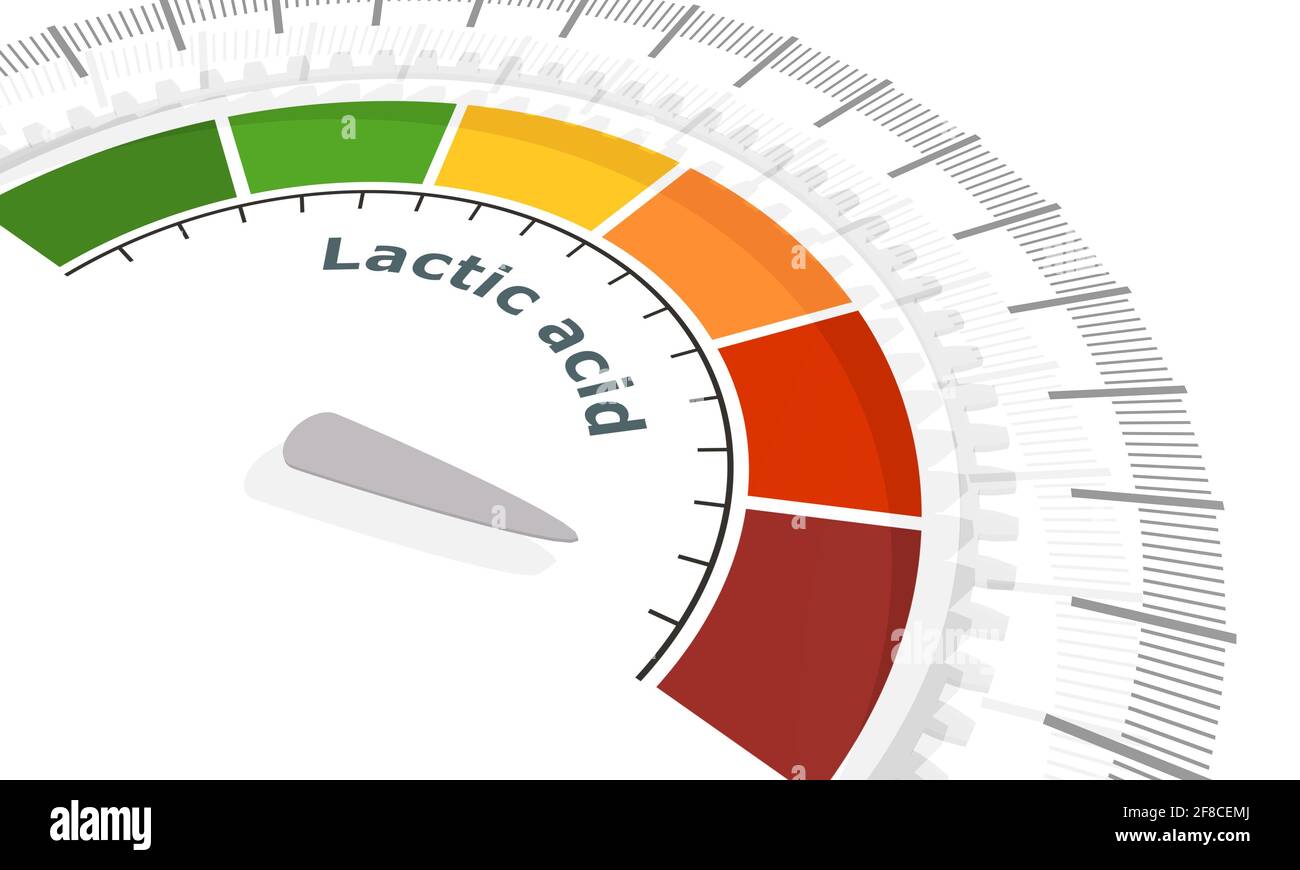 Scale with arrow. The lactic acid measuring device. Sign tachometer ...