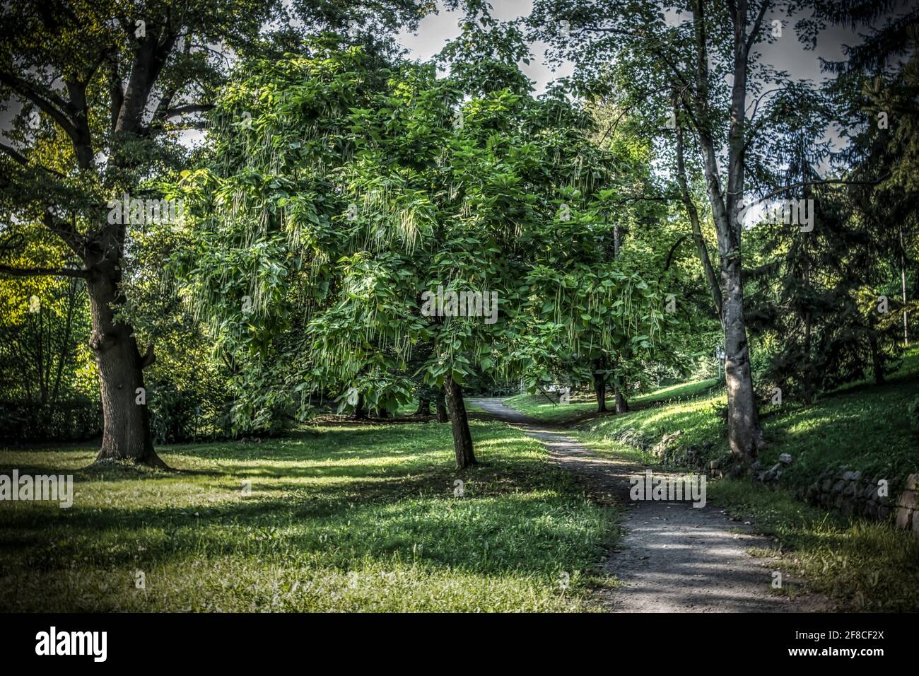 Topcider park hi-res stock photography and images - Alamy