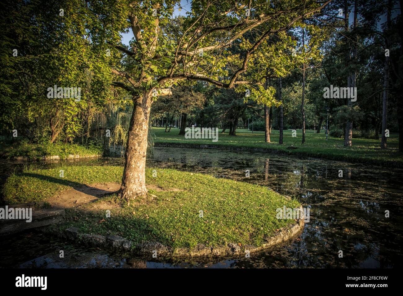 Late summer in the Topcider Park in Belgrade Stock Photo - Alamy