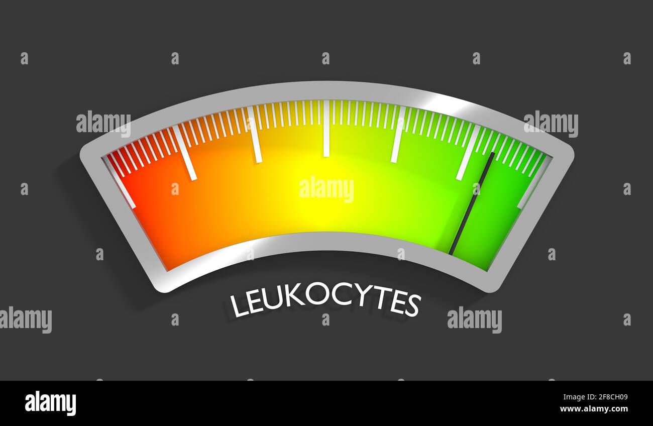 Leukocytes level scale with arrow. The measuring device icon. Sign ...