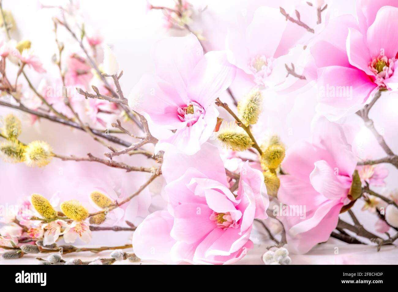 Beautiful pink spring flowers composition over white Stock Photo - Alamy