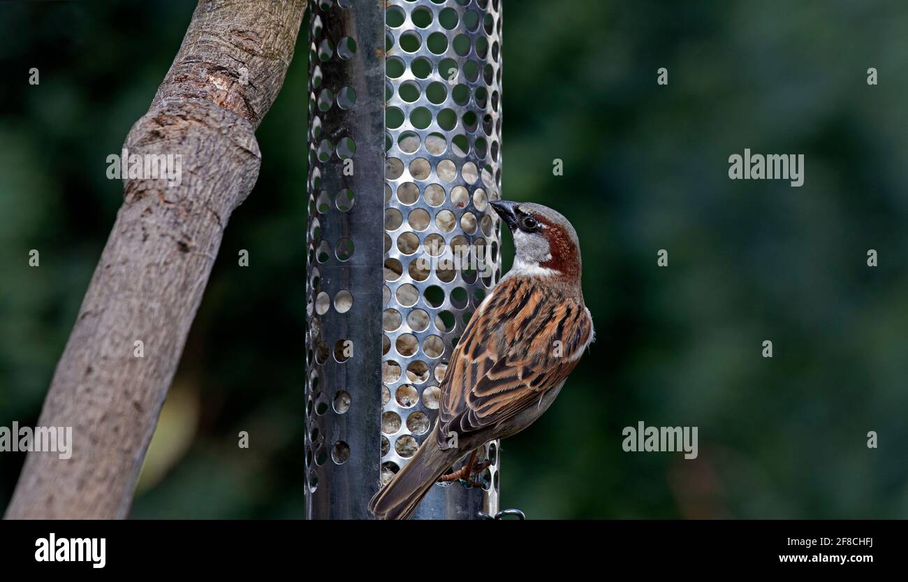 Edinburgh Scotland, UK weather. 13th April 2021. Sunshine with 10 ...