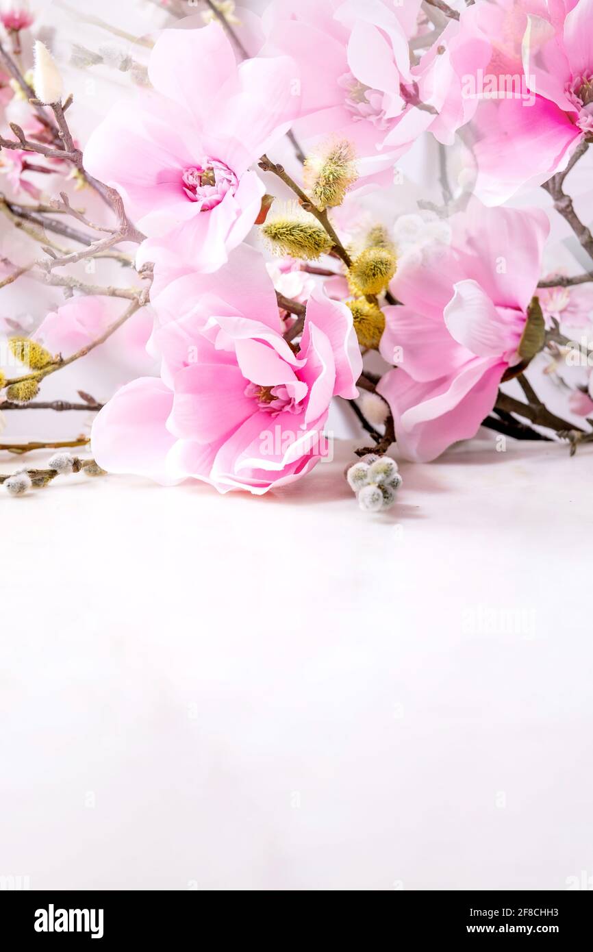 Beautiful pink spring flowers composition over white magnolia flowers ...