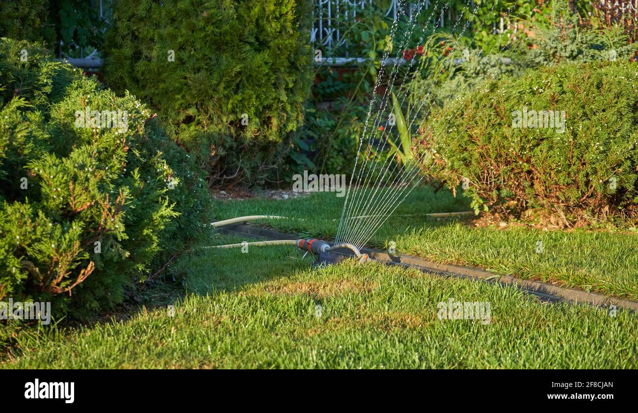 Lawn sprayer hi-res stock photography and images - Alamy