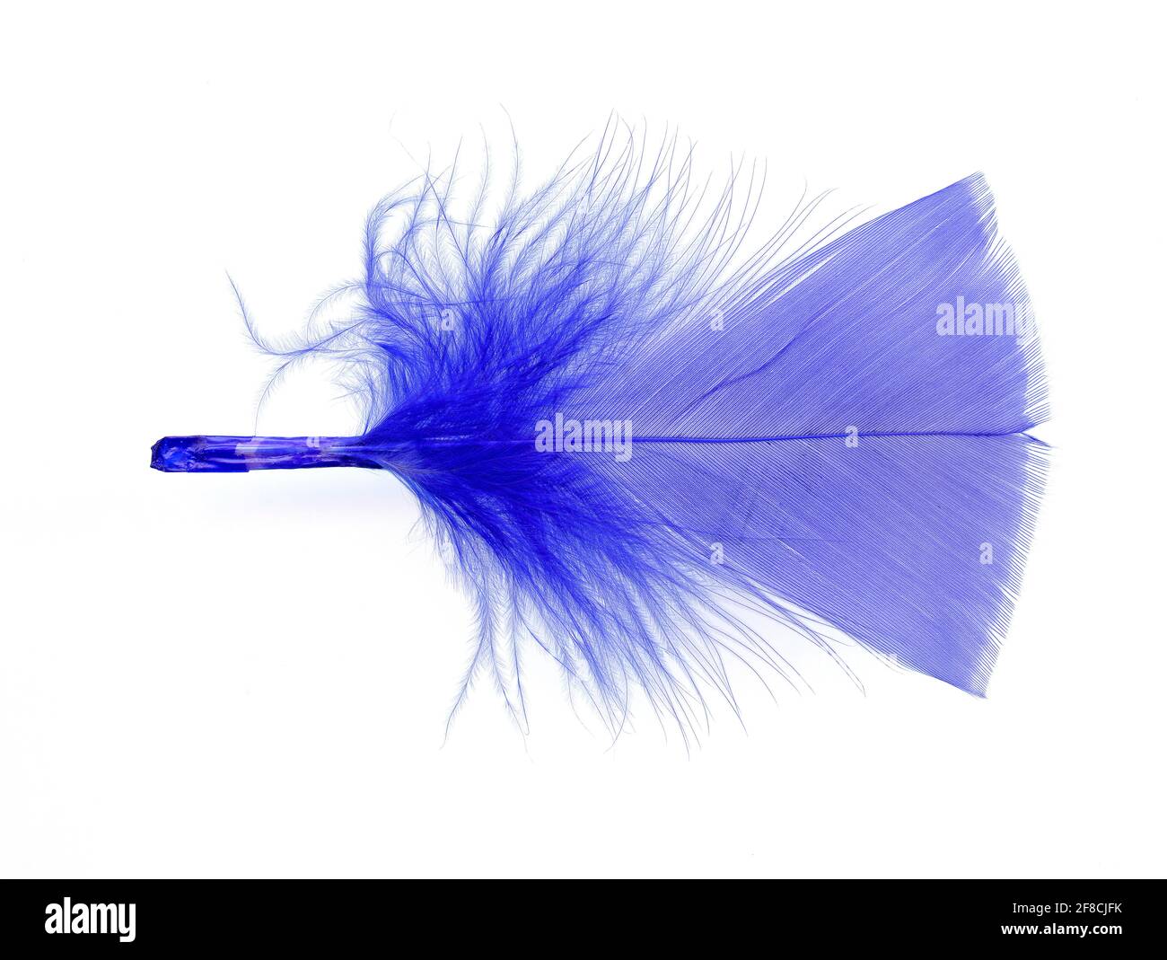 High resolution macro white Cut Out Stock Images & Pictures - Alamy