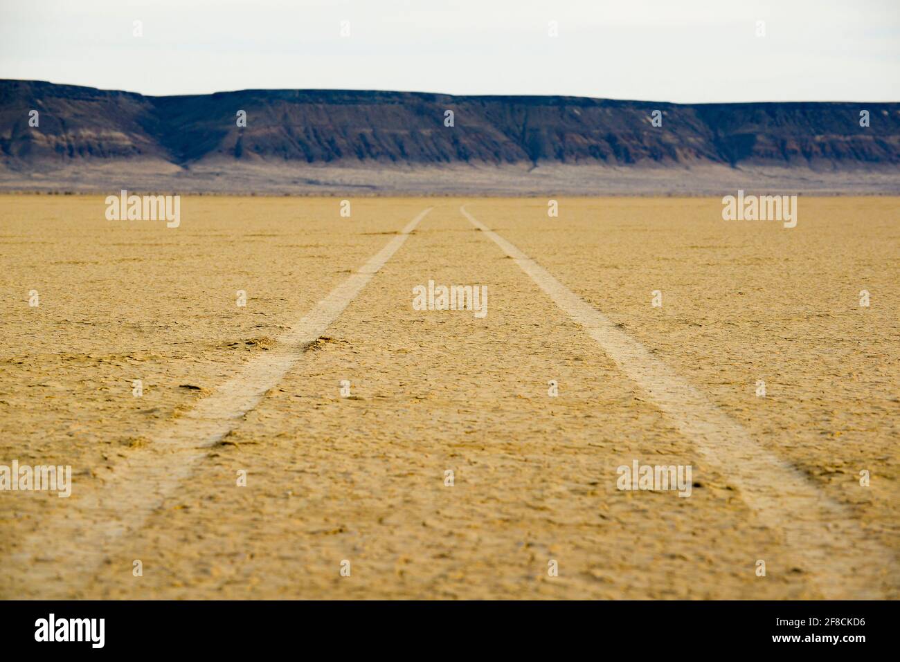 Vehicle tracks in desert hi-res stock photography and images - Alamy