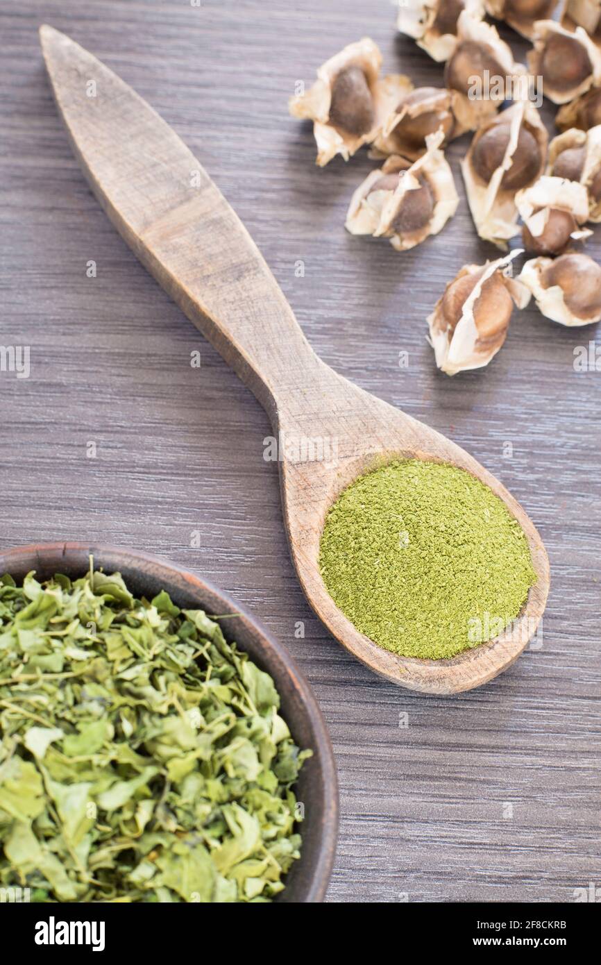 Moringa nutritional plant - Moringa oleifera Stock Photo - Alamy