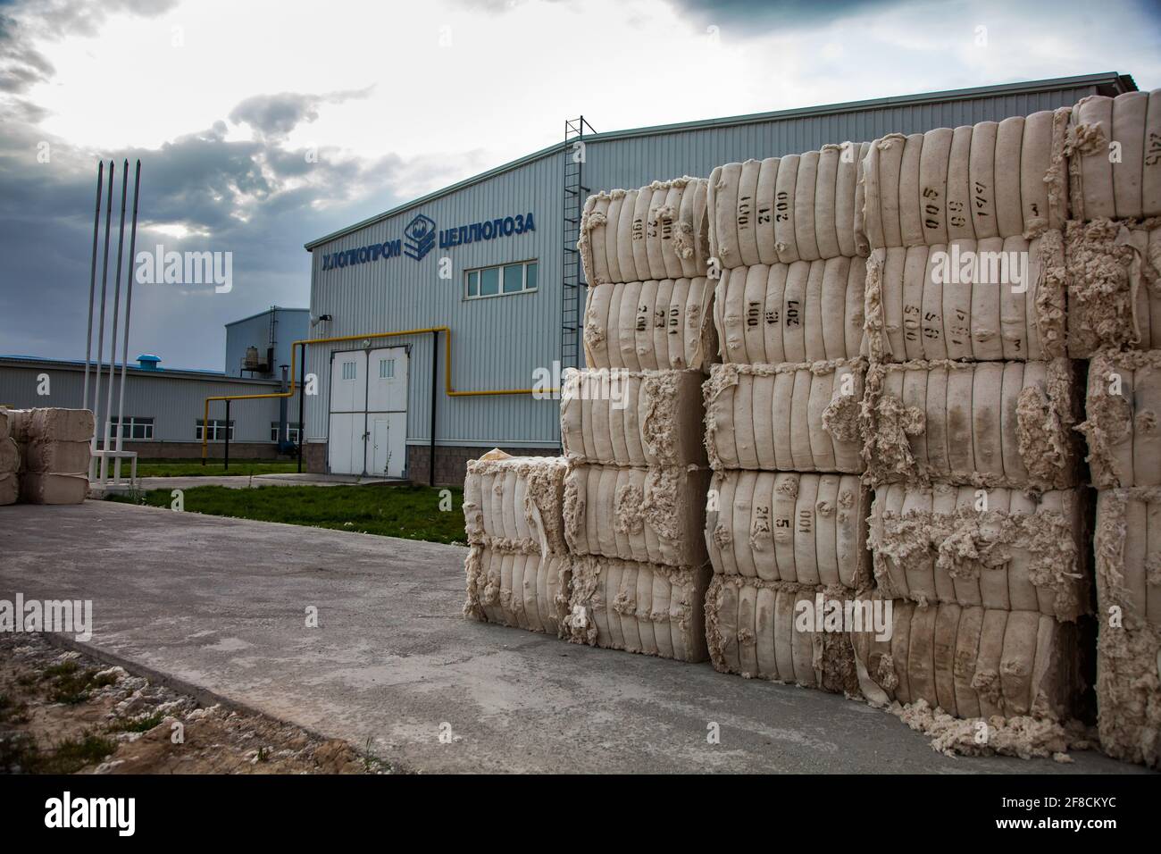 Purifying cotton plant. Stack of cotton packs (right) and industrial ...