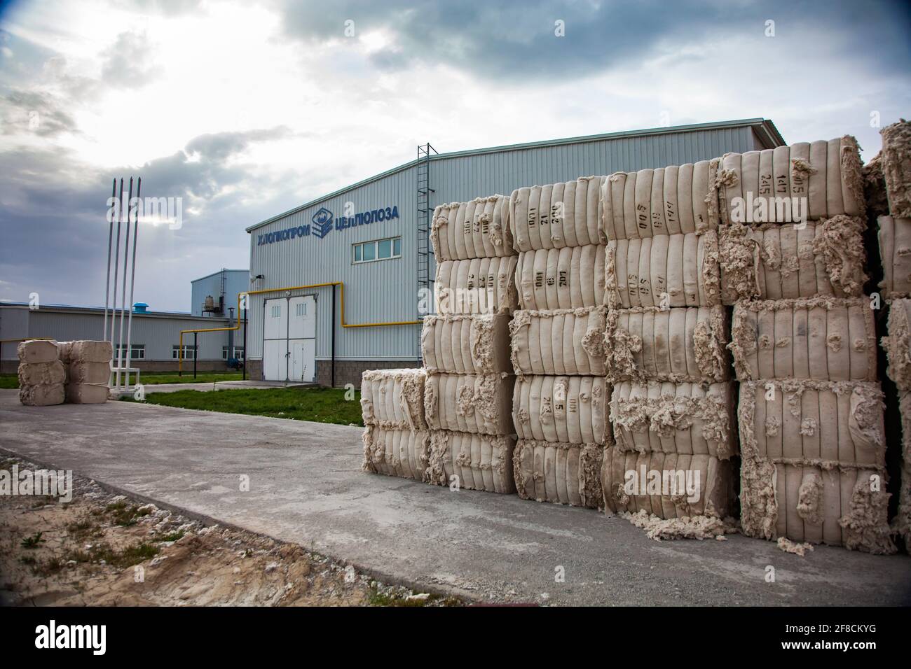 Purifying cotton plant. Stack of cotton packs (right) and industrial ...
