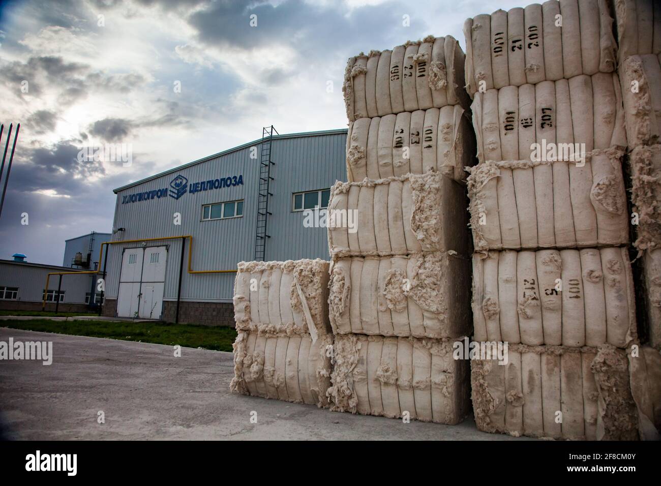 Purifying cotton plant. Stack of cotton packs (right) and industrial ...