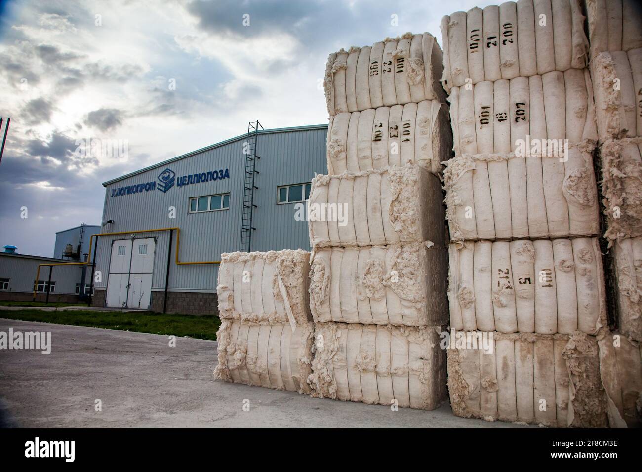 Purifying cotton plant. Stack of cotton packs (right) and industrial ...