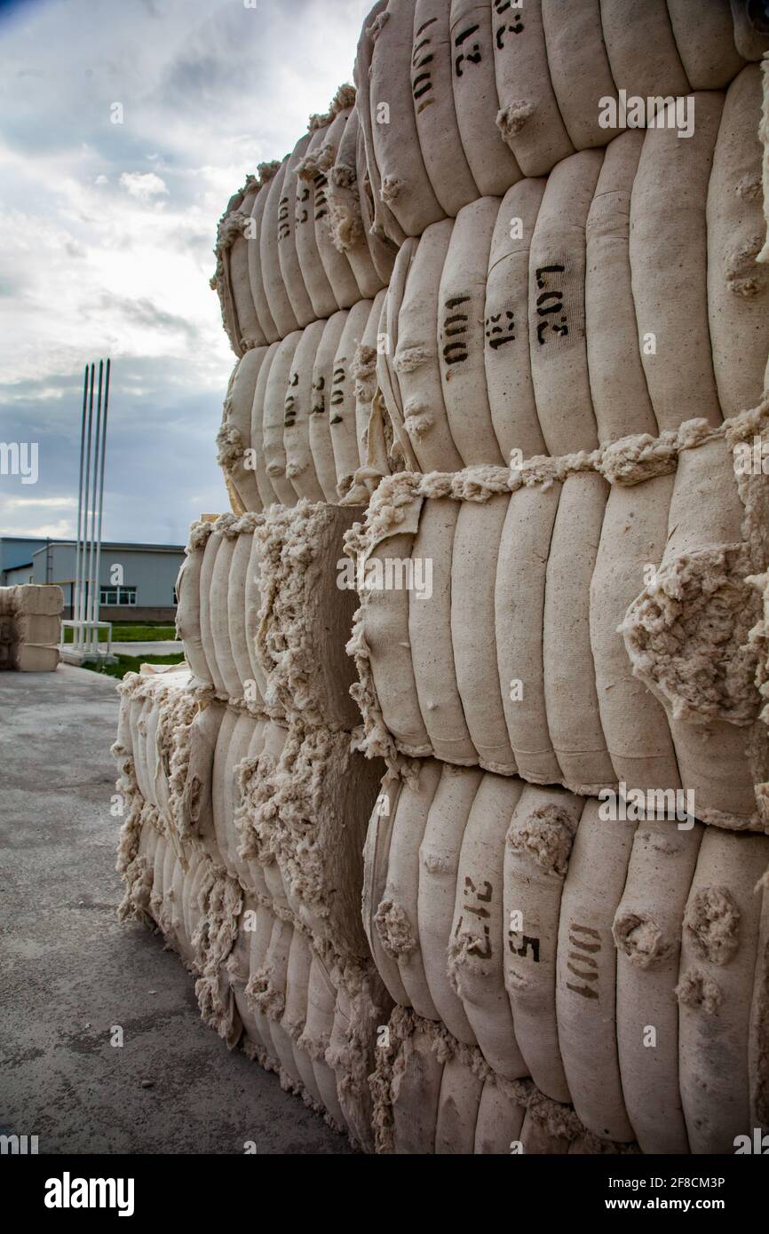 Purifying cotton plant. Stack of cotton packs Stock Photo - Alamy